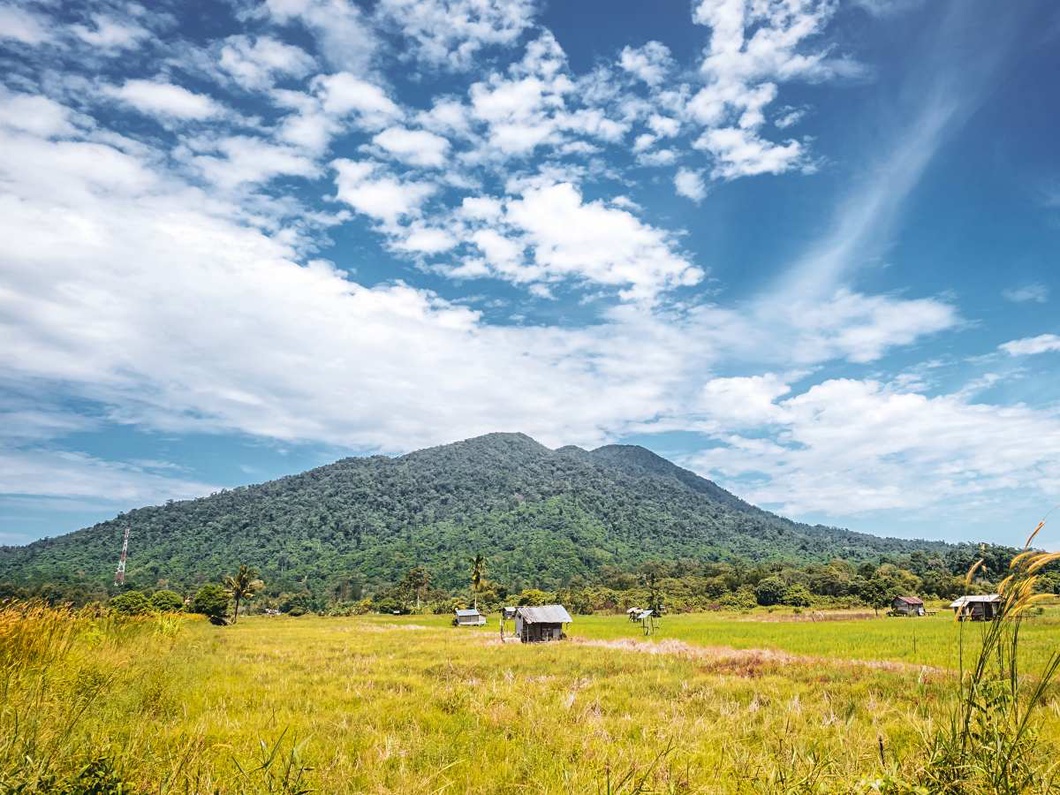 Murut Magunatip Bamboo Dance
