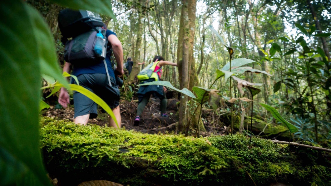 5 Best Hiking Trails and Nearby Attractions in Kundasang