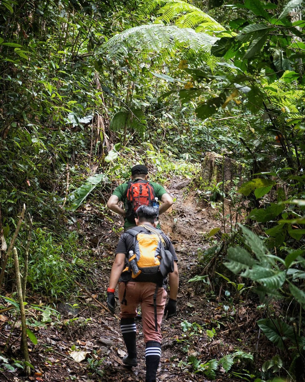 5 Best Hiking Trails and Nearby Attractions in Kundasang