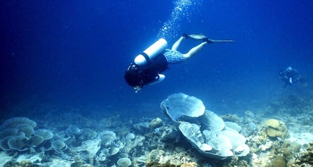 Blue Holes Leisure Diving Adventure - SabahTravel