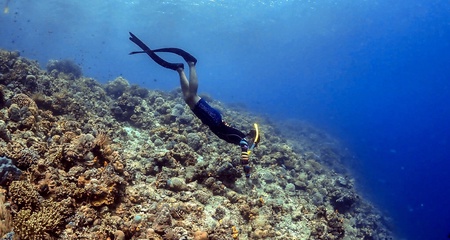 3D2N Mataking & Timba-Timba Diving Tour - SabahTravel